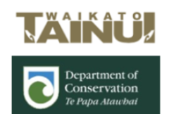 Pokaia Nepia Scholarship :: University of Waikato