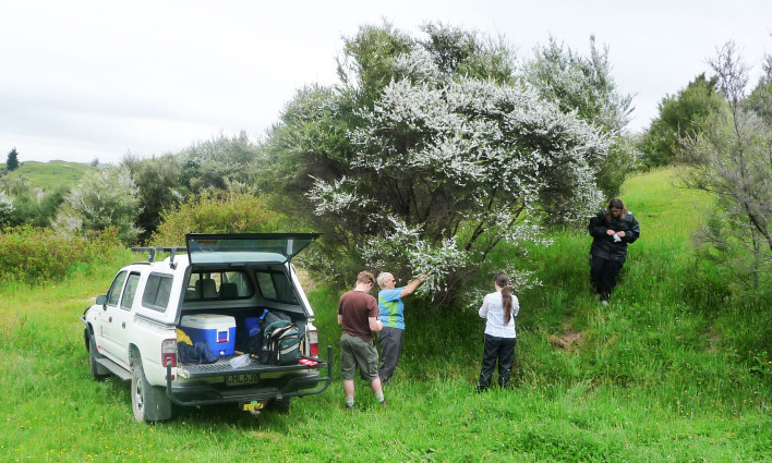 Honey Research Unit :: University of Waikato