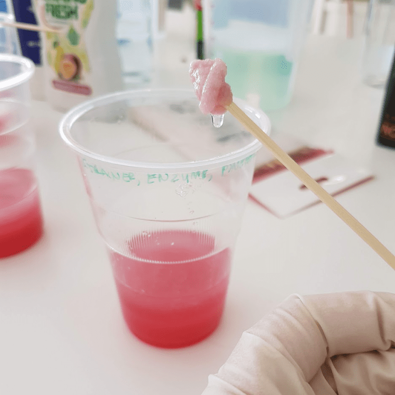 Science outreach activities on campus :: University of Waikato