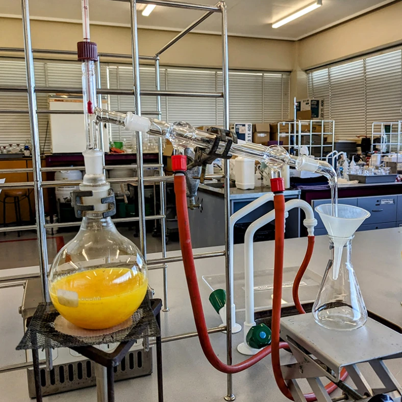 Science outreach activities on campus :: University of Waikato