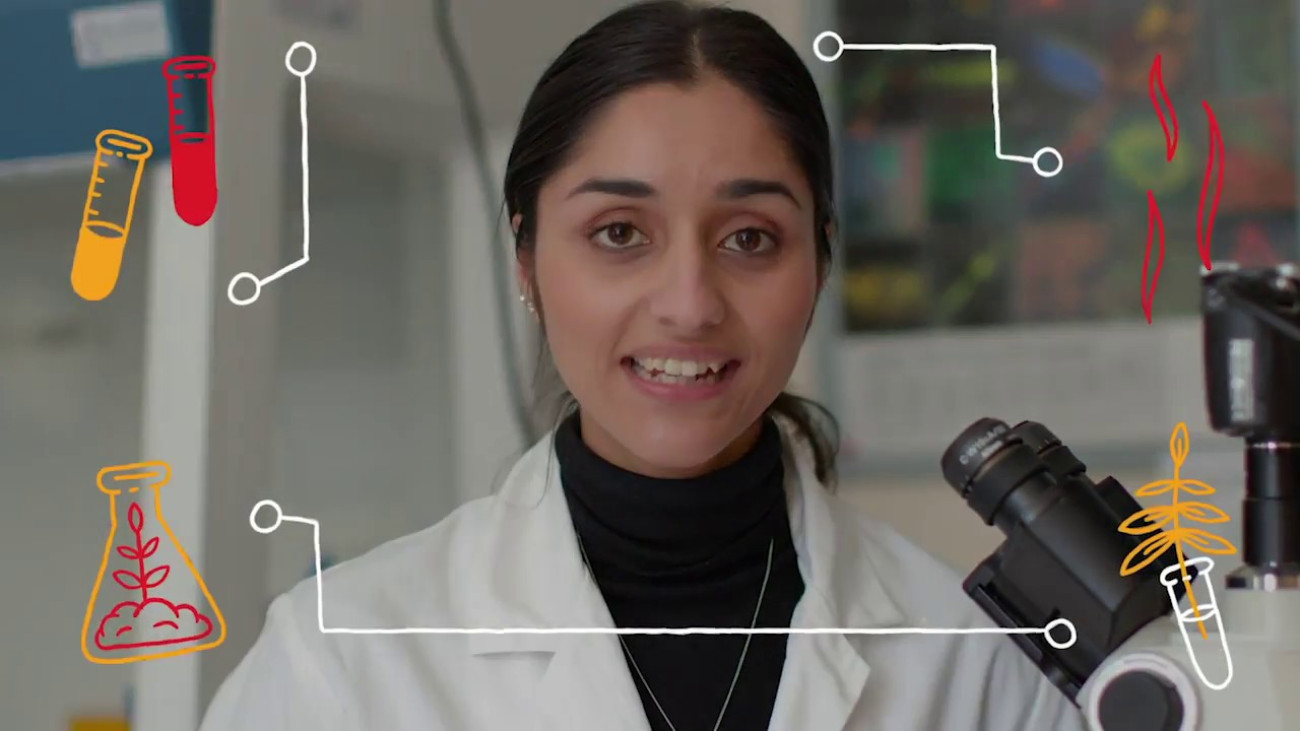 Master of Science (Research) at Waikato University :: University of Waikato