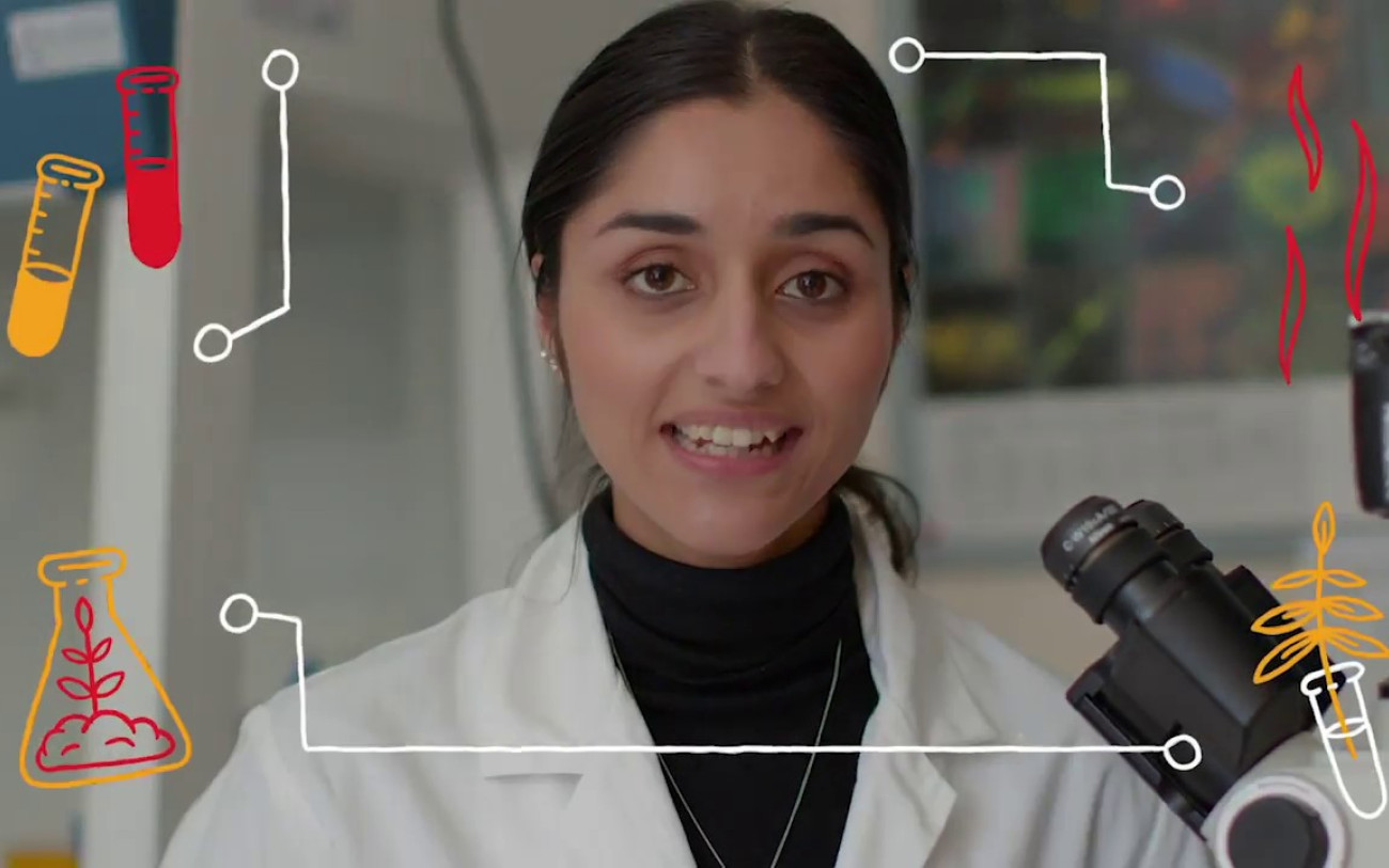 Master of Science (Research) :: University of Waikato