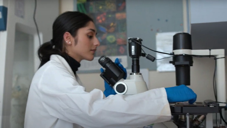 Master of Science (Research) | Apply to Study :: University of Waikato